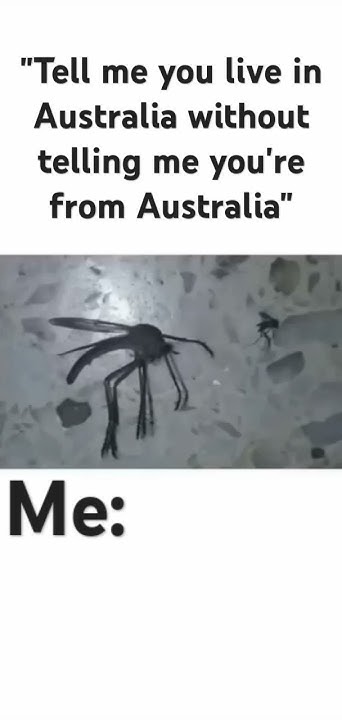 Tell me you live in Australia without telling me #shorts #memes #funny ...