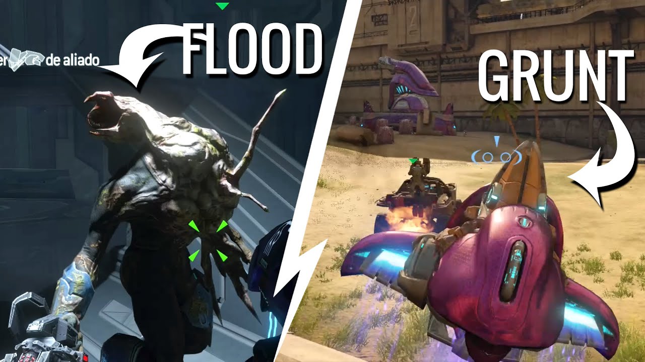 Cómo TRANSFORMARSE en un FLOOD y un GRUNT en Halo 2 SIN MODS - YouTube