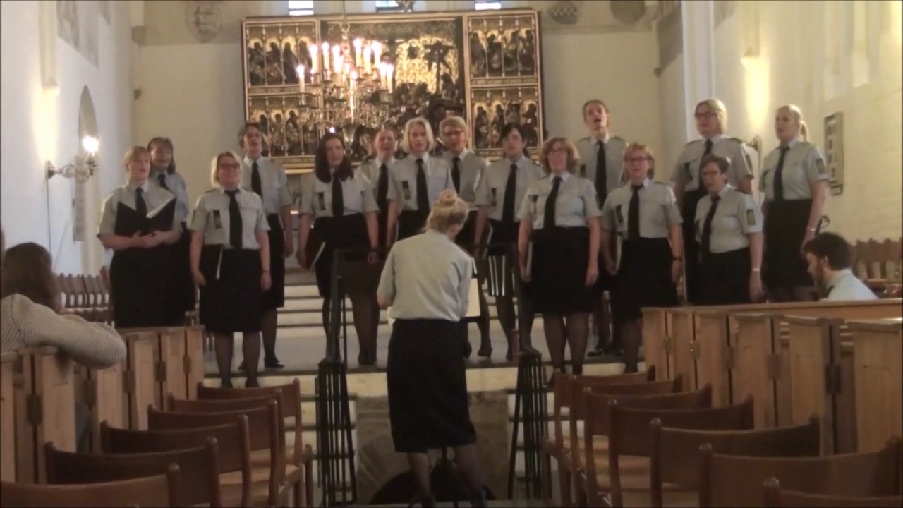 Fuld af nattens stjerner med Politi Sirenerne - YouTube