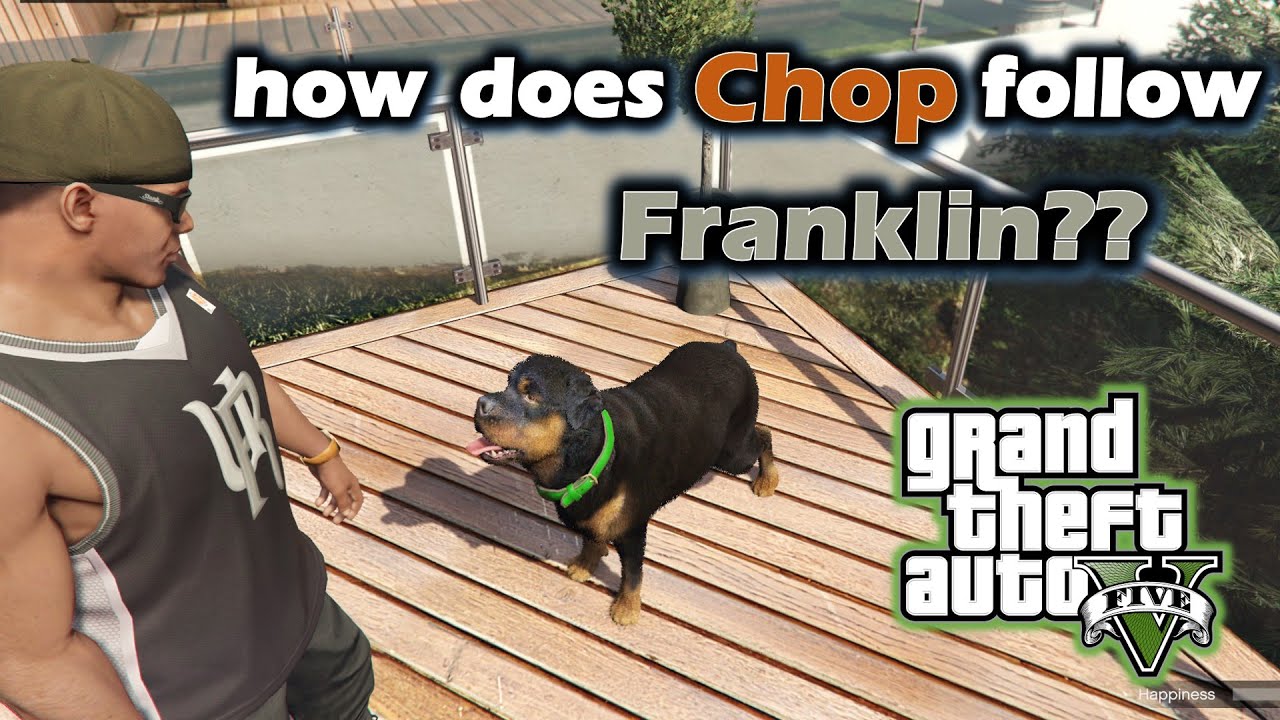 gta V(5): How does chop follow franklin??? - YouTube
