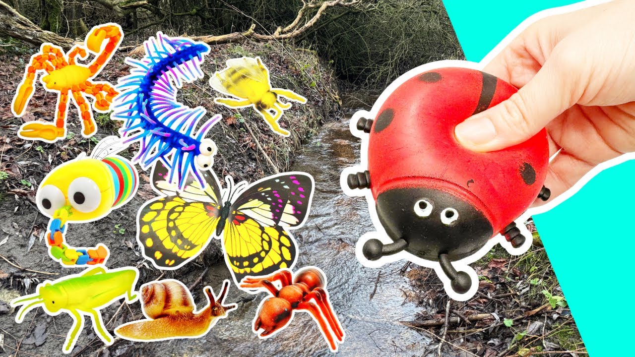 Kids Learn | Bug Insect Names at the Stream for Babies Toddlers ...