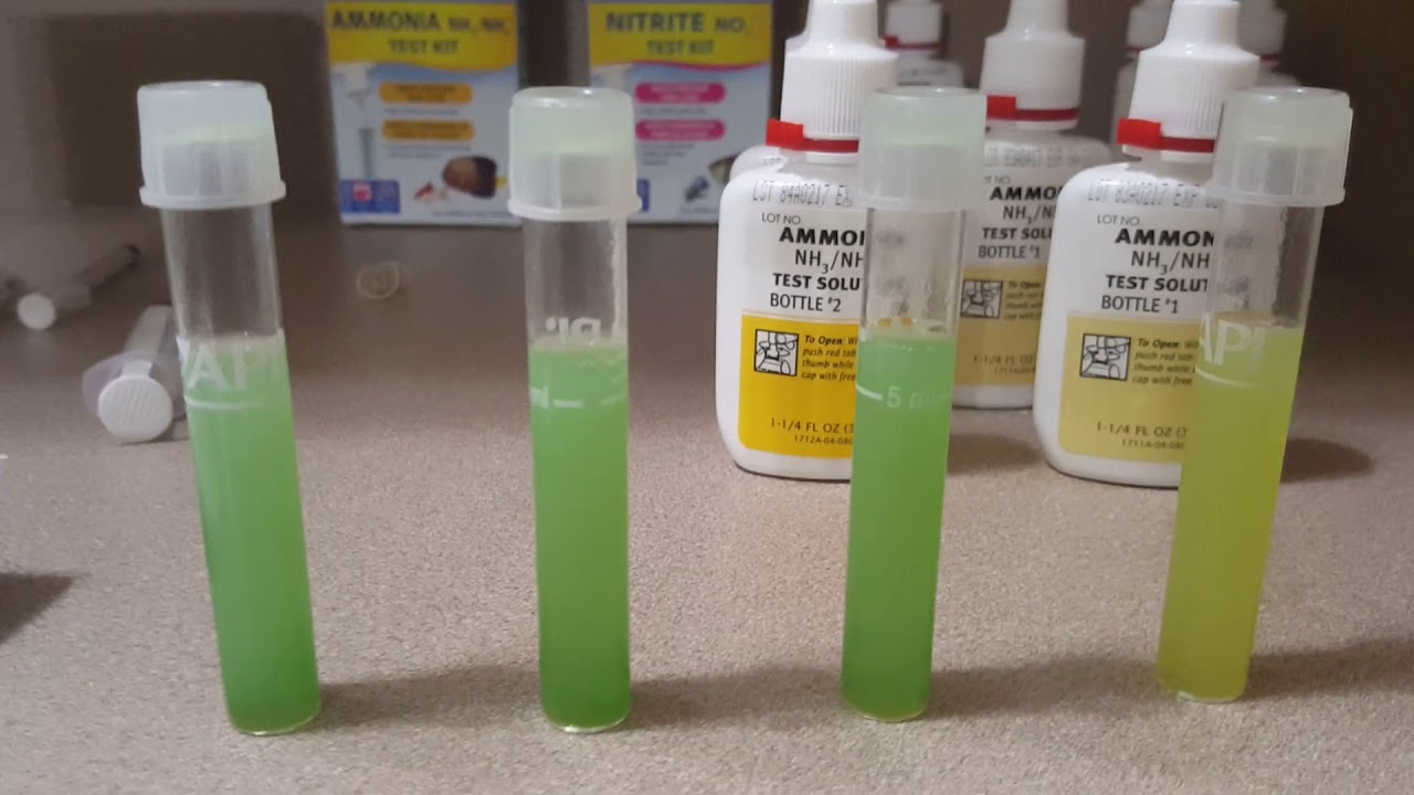Bottle bacteria 48 hr test study 2 round 1 - YouTube