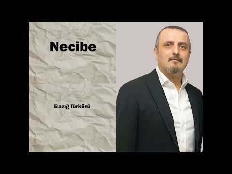 Necibe #türkü #sanat #fantazi #music #karaoke #damar #elazığ #cover #harput #enderbalkır #öneçıkar