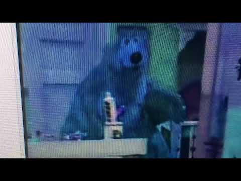 Bear in the Big Blue House Theme Song in Lost Effect