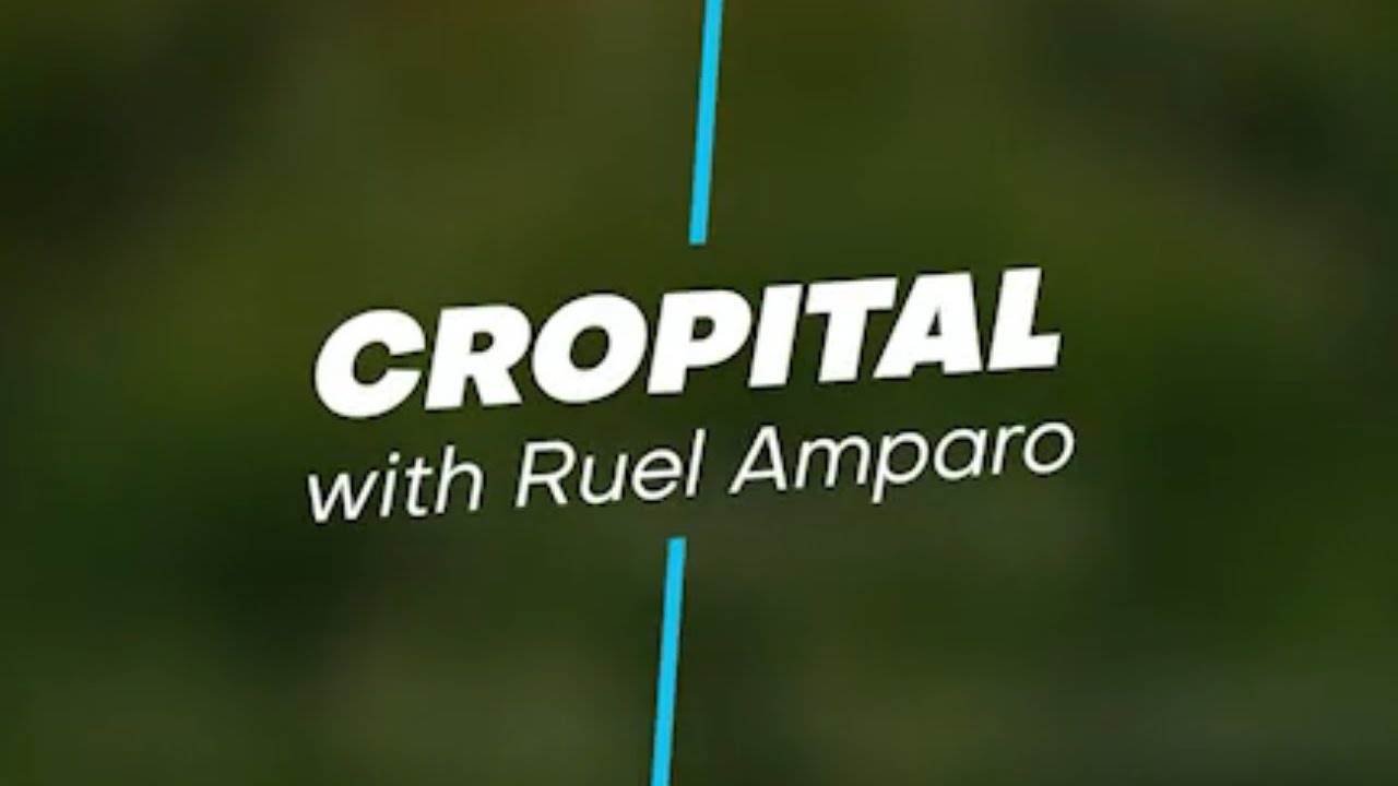Startup Feature: Cropital - YouTube