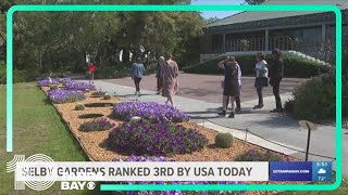 Selby Gardens ranked 3rd best botanical garden in country