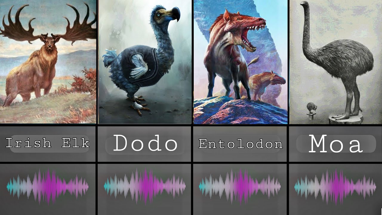 Extinct Animal Voices (With Audio) - YouTube