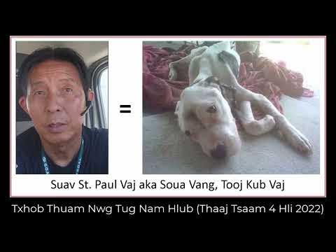 Tooj Kub Vaj Txob Thuam Vaab Xyooj - YouTube