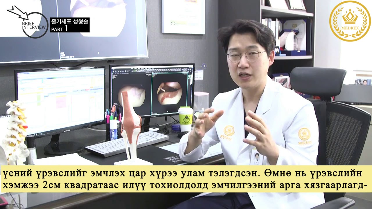 Үүдэл эсийн эмчилгээ гэж юу вэ Part1 Youtube