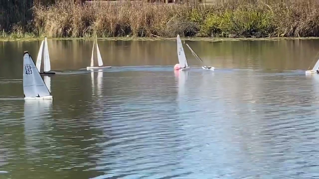 DF65 SOUTH QUEENSLAND CHAMPIONSHIP - Race 1 - YouTube