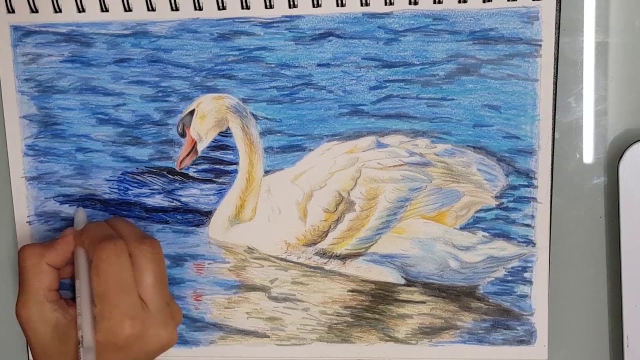 Drawing a Swan using Colored Pencils and Markers - YouTube