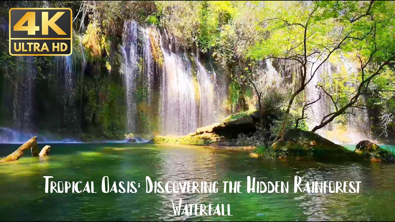4K UHD | Tropical Oasis: Discovering the Hidden Rainforest Waterfall ...
