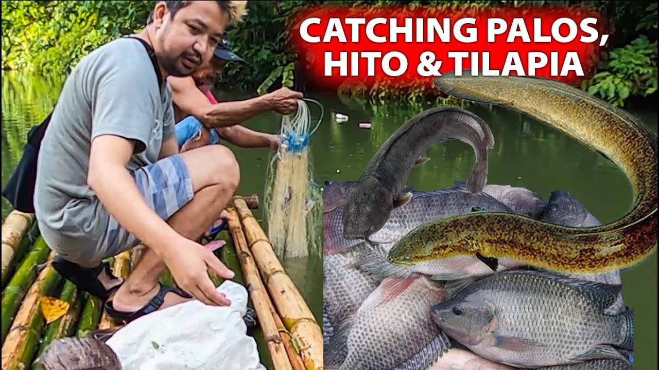 Catching Palos (Eel Fish) Nakahuli ng malaking Igat + daming huli sa ...