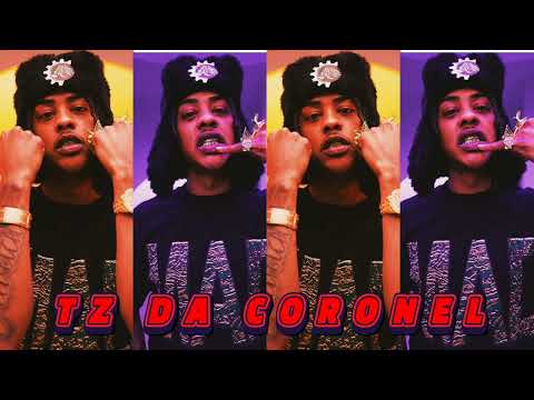 PLAYLIST TZ DA CORONEL - AS MELHORES MÚSICAS DO TZ DA CORO 2025 #Trapzk ...