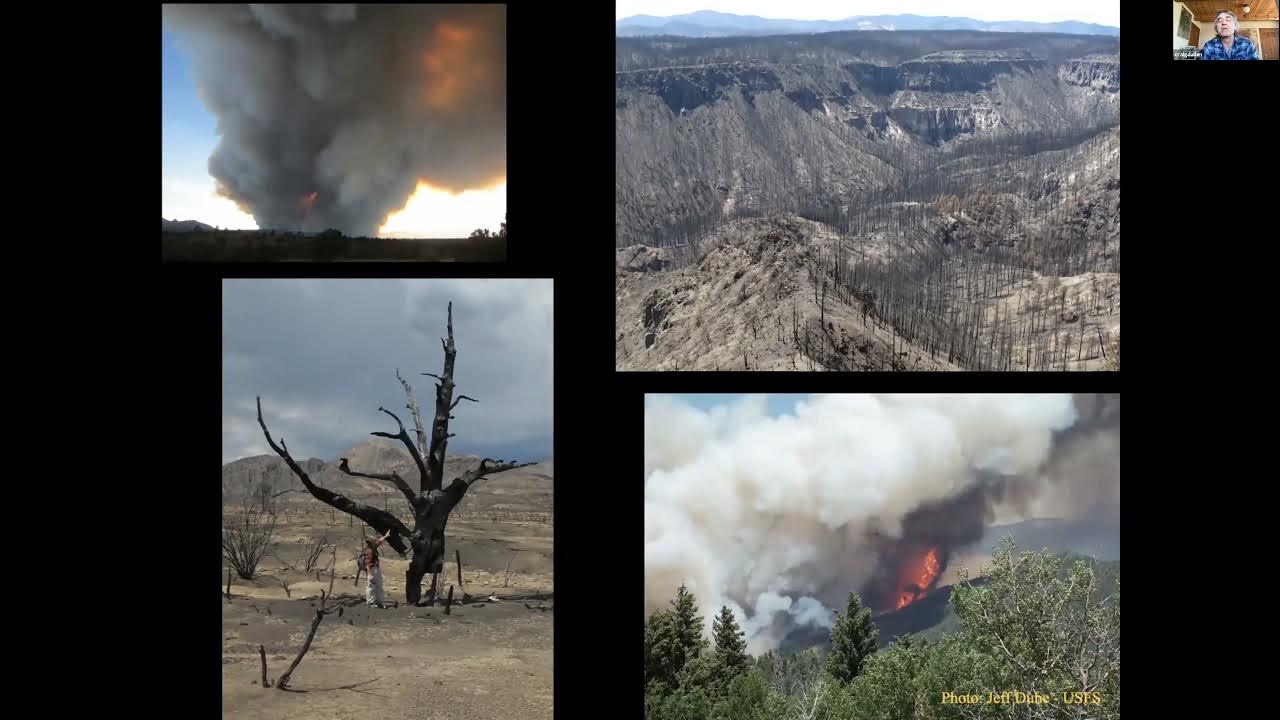 Listening to the trees: Global tree mortality observations - Dr. Craig ...