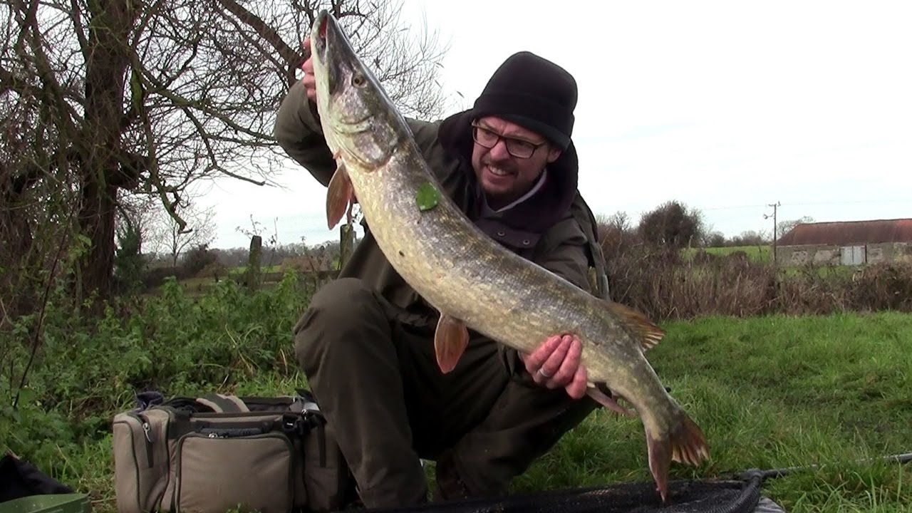 A Monster Pike From The Bristol Avon! - YouTube