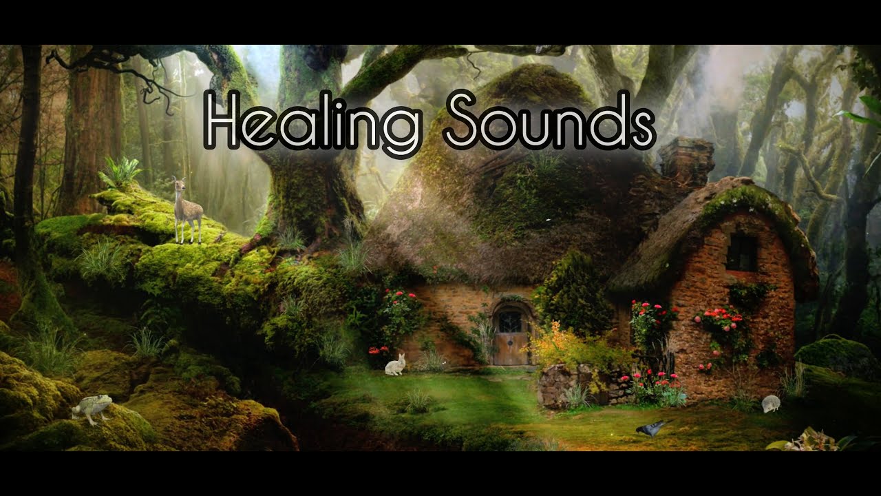 🎧 Relax with Healing Sounds| Lofi Music 🎶 | Peaceful Pulse | - YouTube