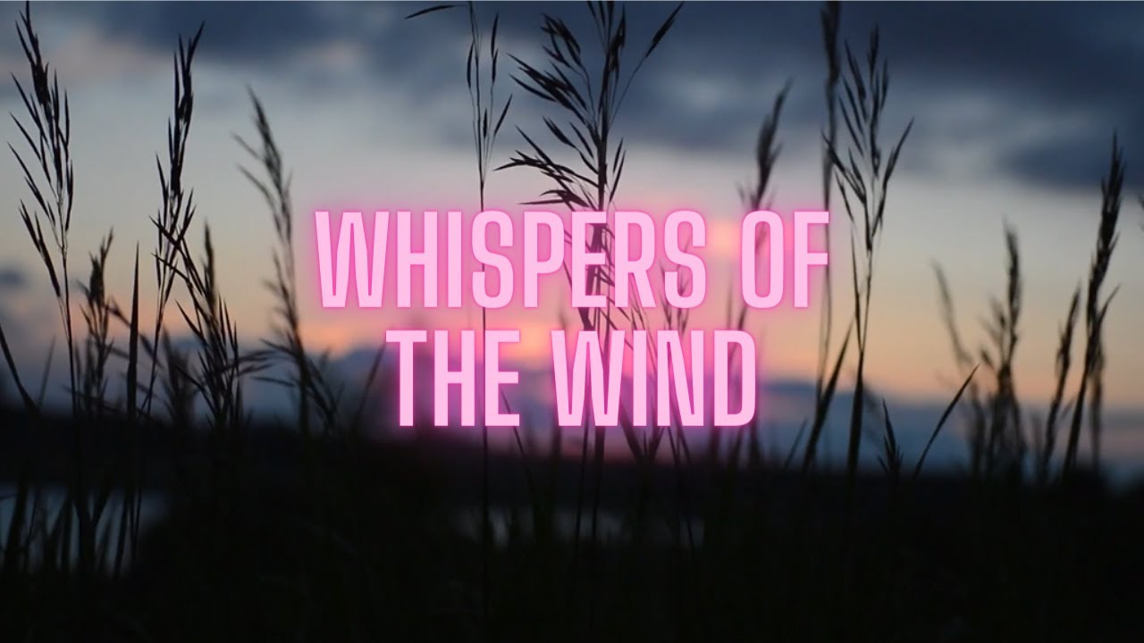 Whispers of the Wind: 1 Hour of Calming Nature Sounds for Meditation ...