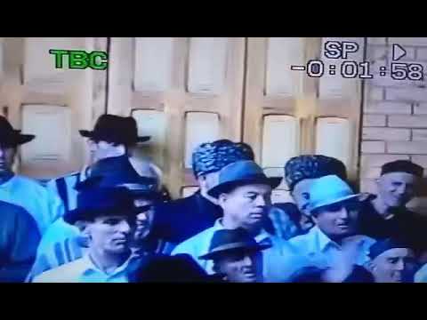 Зуькар, Мукъам Мюриды Митаевцы 1999-е годы в селении Город Грозный, Молодёжь Молодая Гвардия Суфии