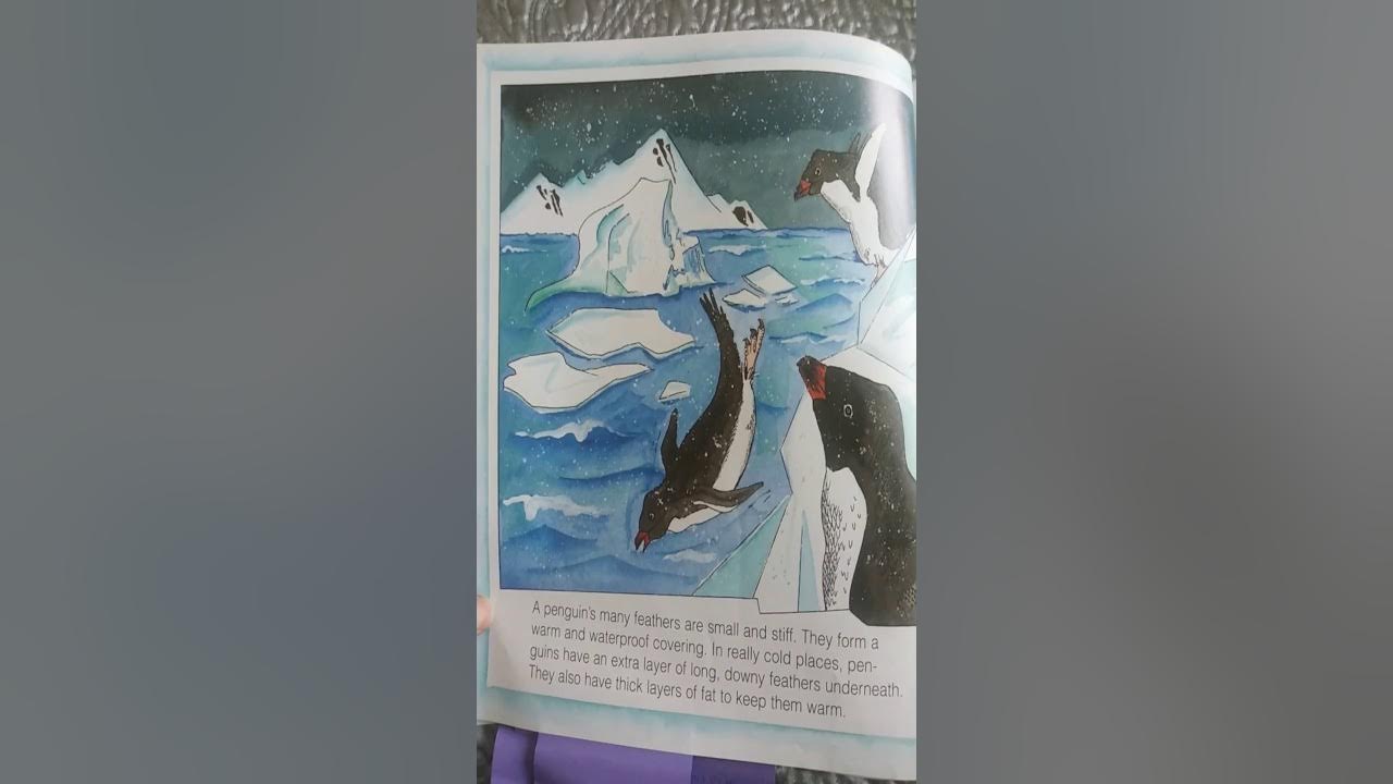 Interactive Read Aloud- Penguins! - YouTube