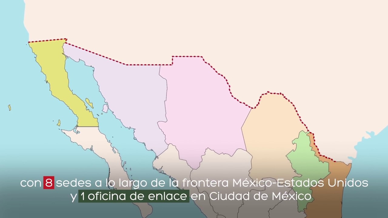 Conoce qué hace El Colef | Video institucional - YouTube