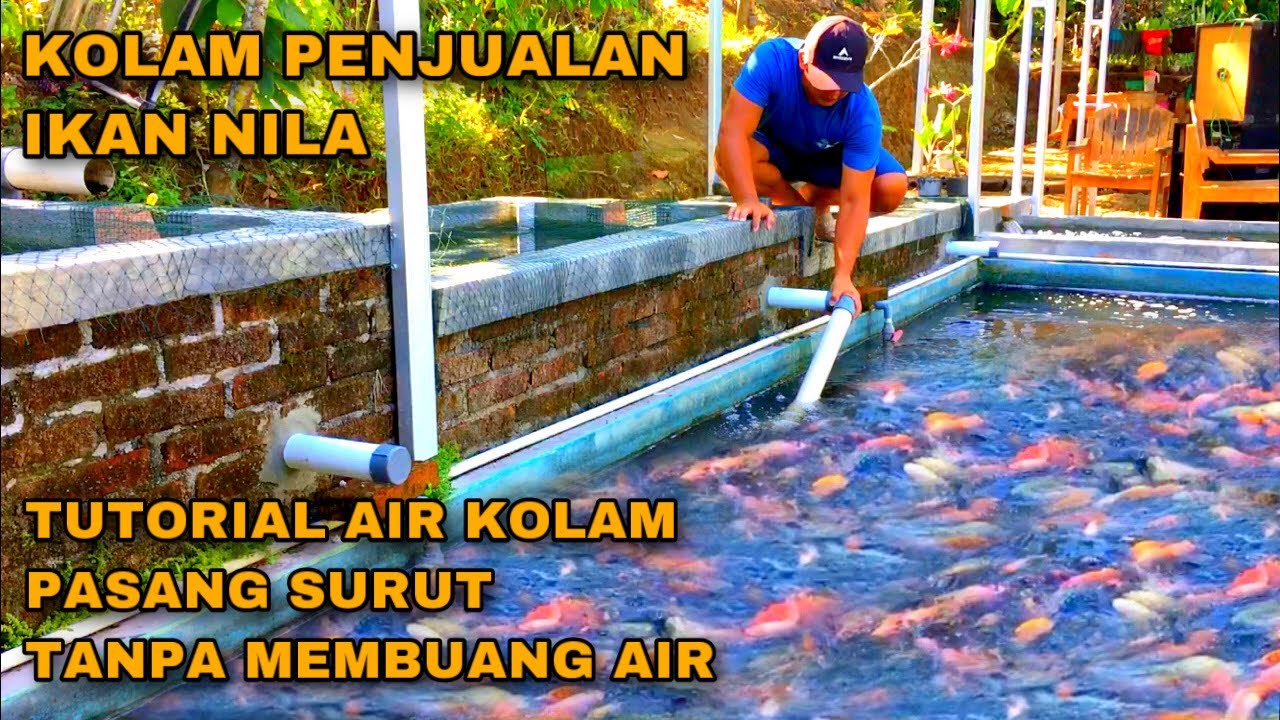 TUTORIAL SETTING PASANG / SURUT AIR KOLAM IKAN NILA TANPA MEMBUANG AIR ...