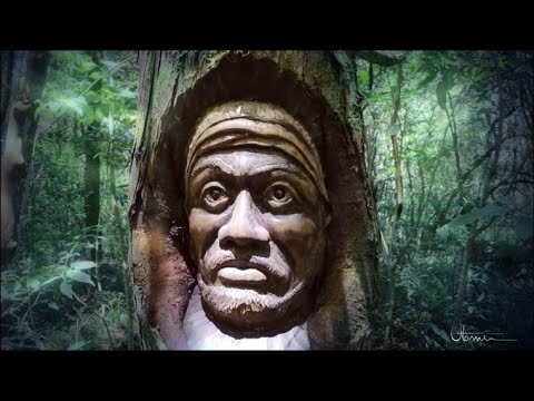 MERIDA VENEZUELA, Bosque Sagrado - YouTube