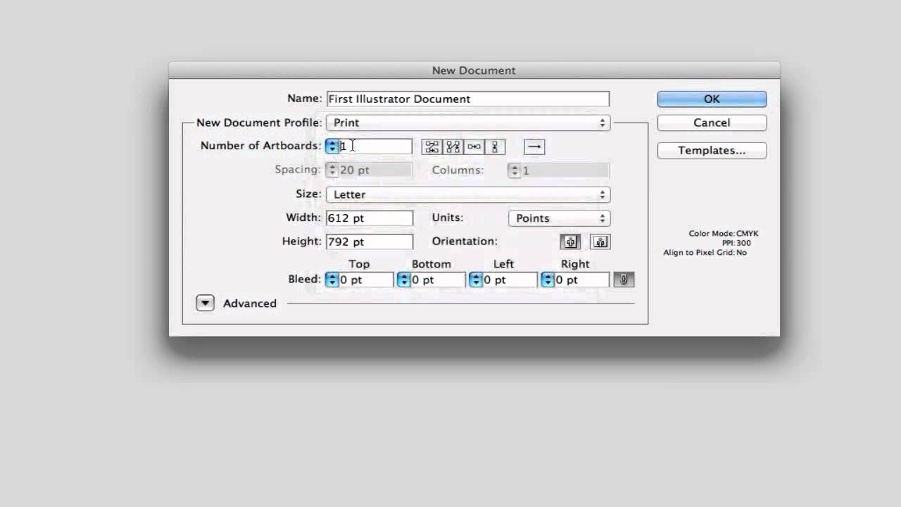 Adobe Illustrator For Beginners Creating Your First Project Youtube