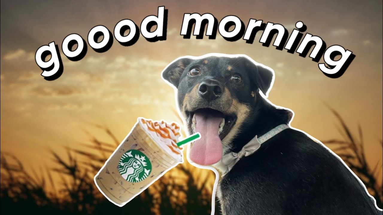 Puppy Morning Routine ! - YouTube