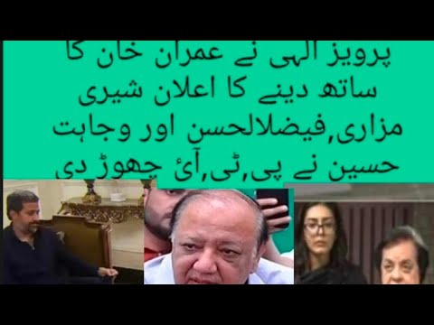 Pervaiz Elahi About PTI,Sheri Mazari,Fiazul Hassan Chohan,Wajahat ...