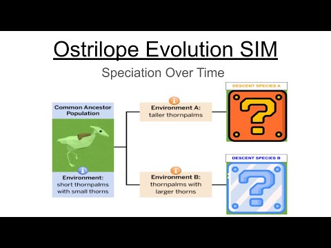 VIDEO GUIDE: Ostrilope Evolution SIM - YouTube
