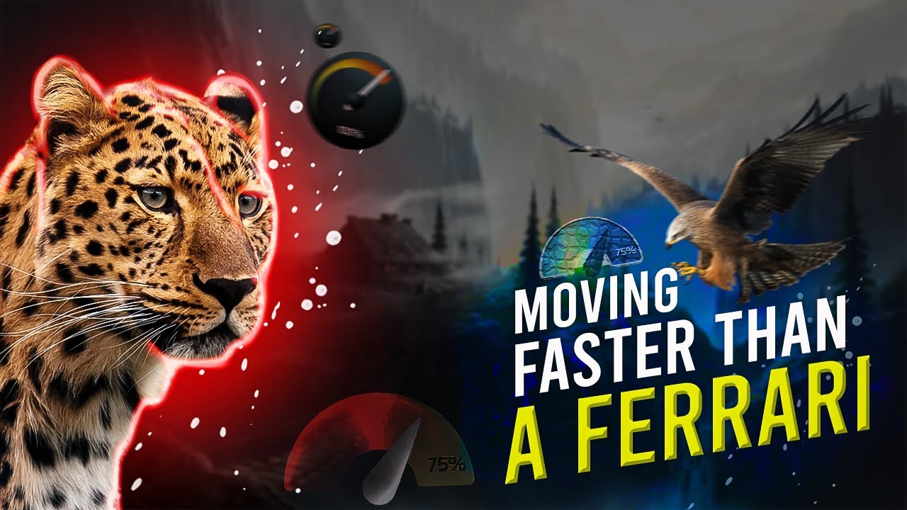 the fastest creature on earth 2023 | over 80 MPH?! - YouTube