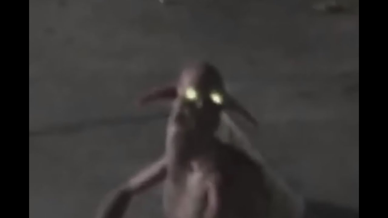 Alien Photos/Videos - Part 11 - YouTube