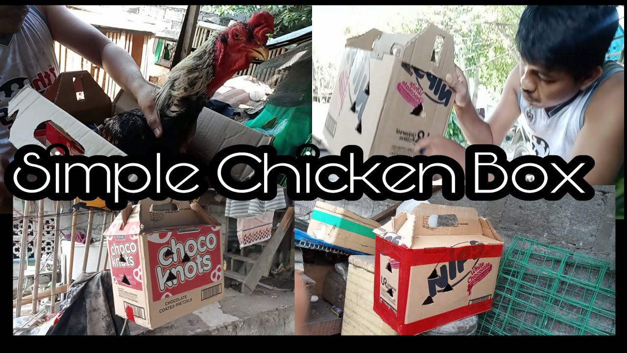 Pagawa Ng Simpling Box Para Sa Manok #cartonbox #boxforchicken # ...
