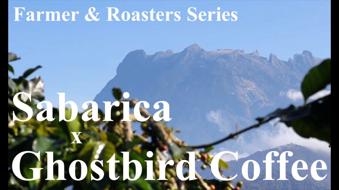 Farmer & Roaster Series - Sabarica & Ghostbird Coffee - YouTube