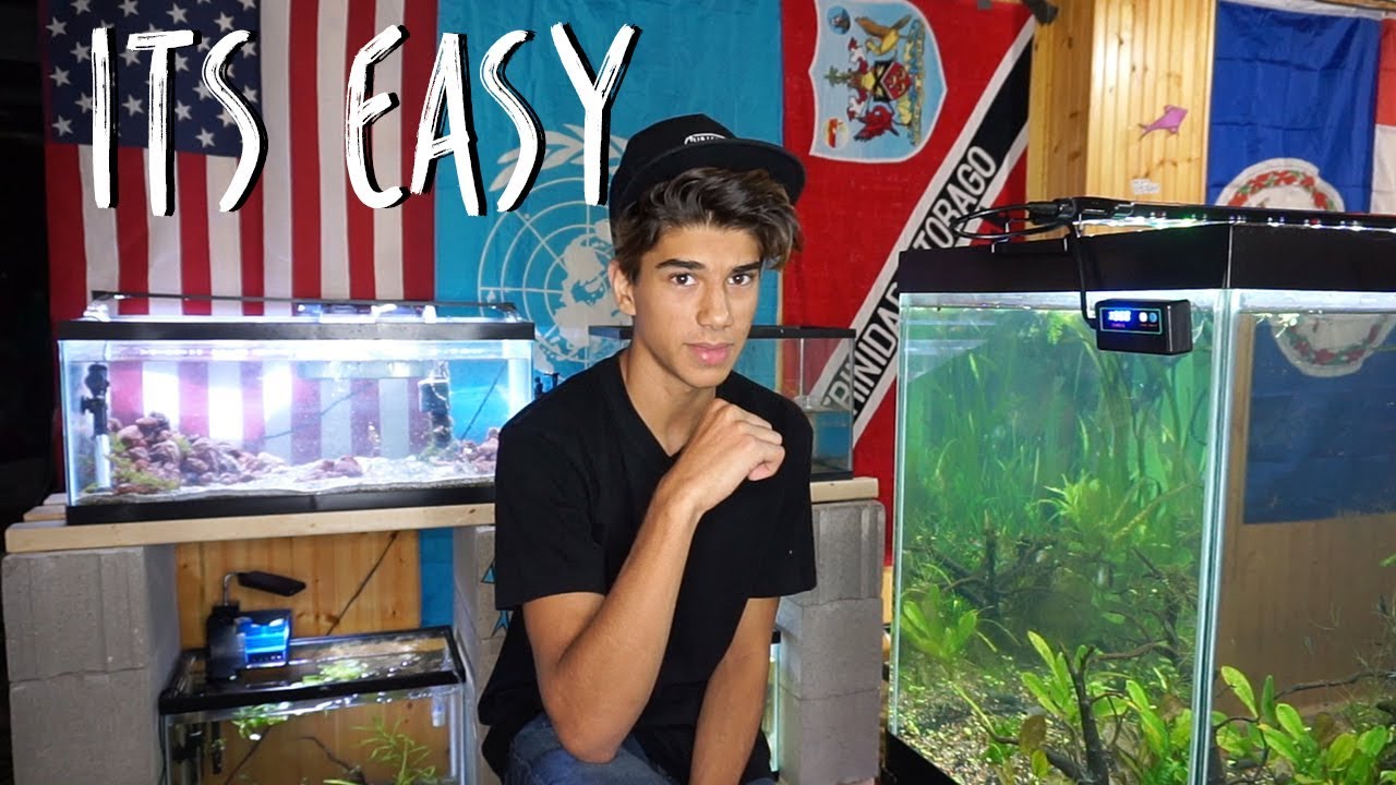 How I Maintain My Fish Tanks! - YouTube
