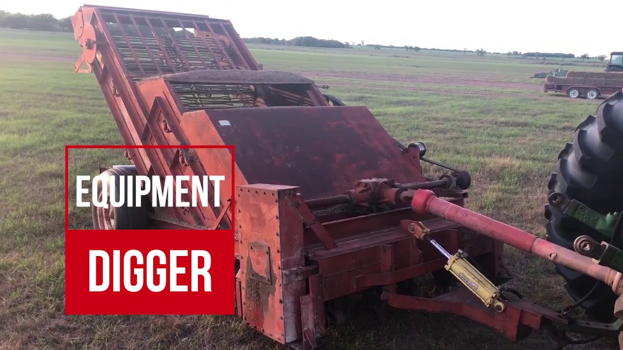 Sprigging Part 2 - YouTube