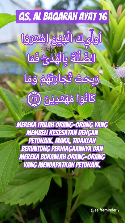 QS. Al Baqarah Ayat 16 #alquran #albaqarah #misharyrashidalfasy #quranrecitation #shortquran # ...