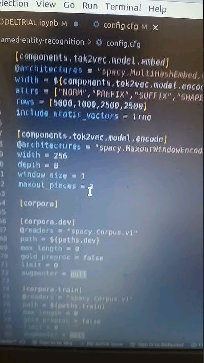 spacy model config file structure and explanation// Spacy ner model // data scientist - YouTube