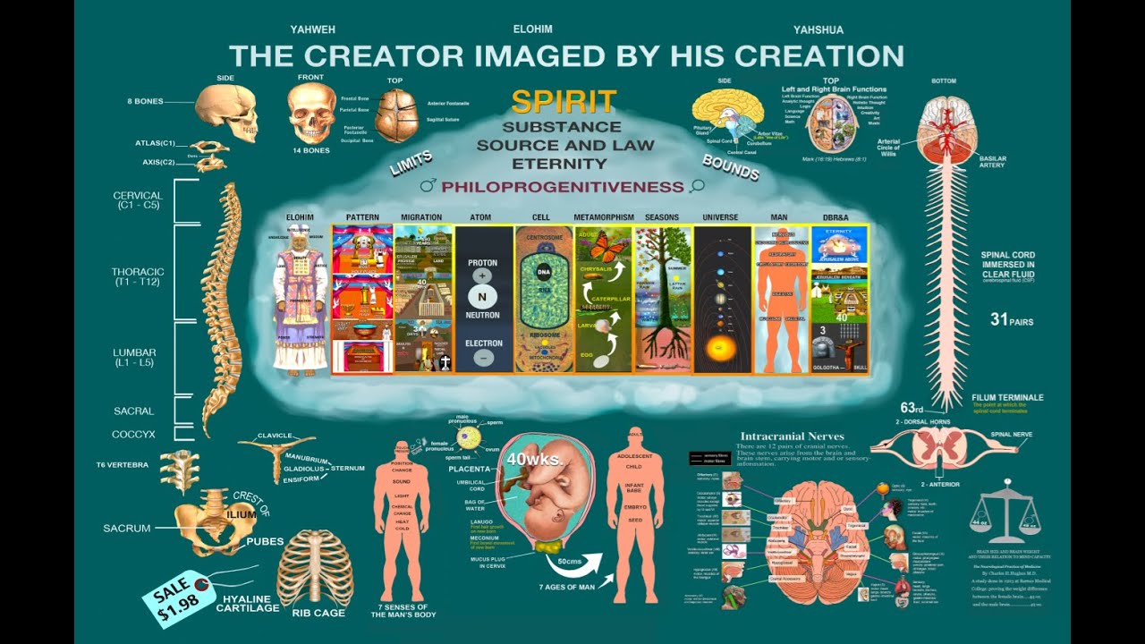 Lecture: 12-03-2023 - Archetype Pattern Workshop Tenets - YouTube