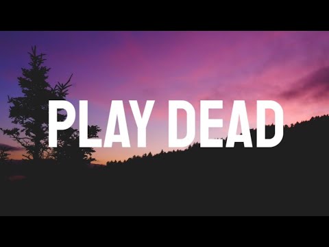 NEFFEX - (Play Dead) Lyrics - YouTube