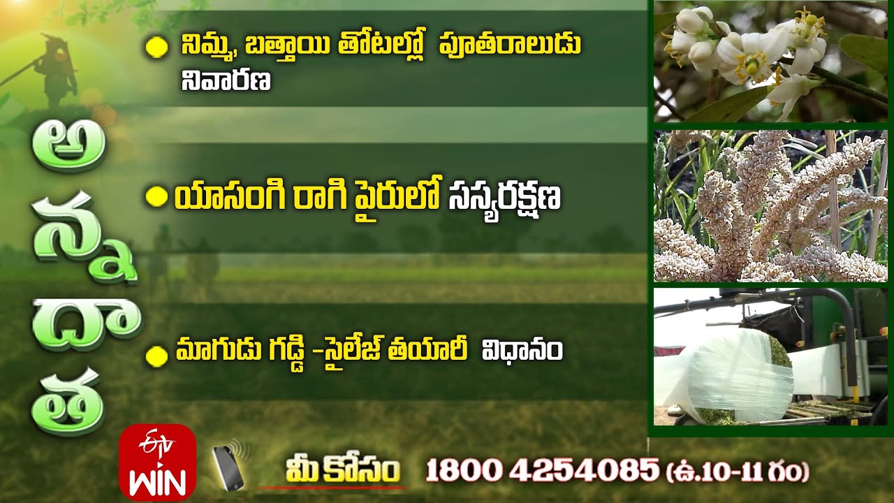 7th January 2026 | Annadata | అన్నదాత | Full Episode | ETV Telugu - YouTube
