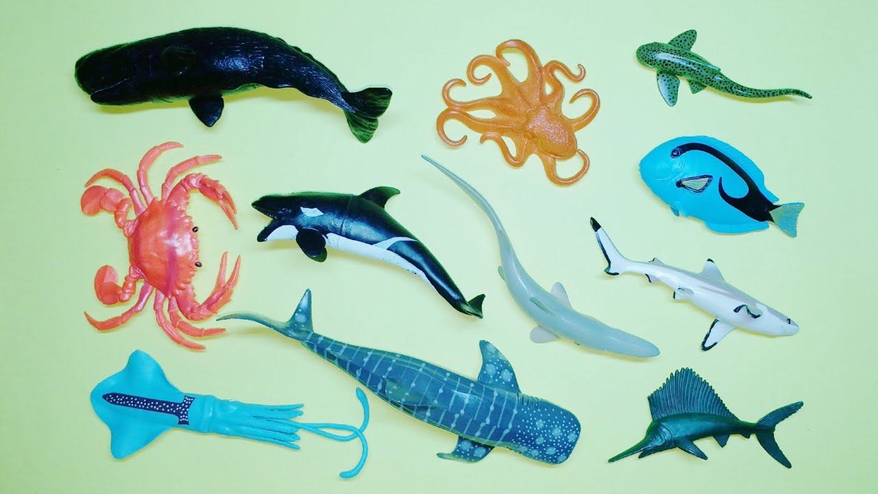 Hunting Found Sea Animals Clown Fish, Hammerhead Shark, Orca Whale ...