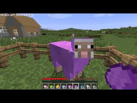 Minecraft Random Colour changing sheep - YouTube