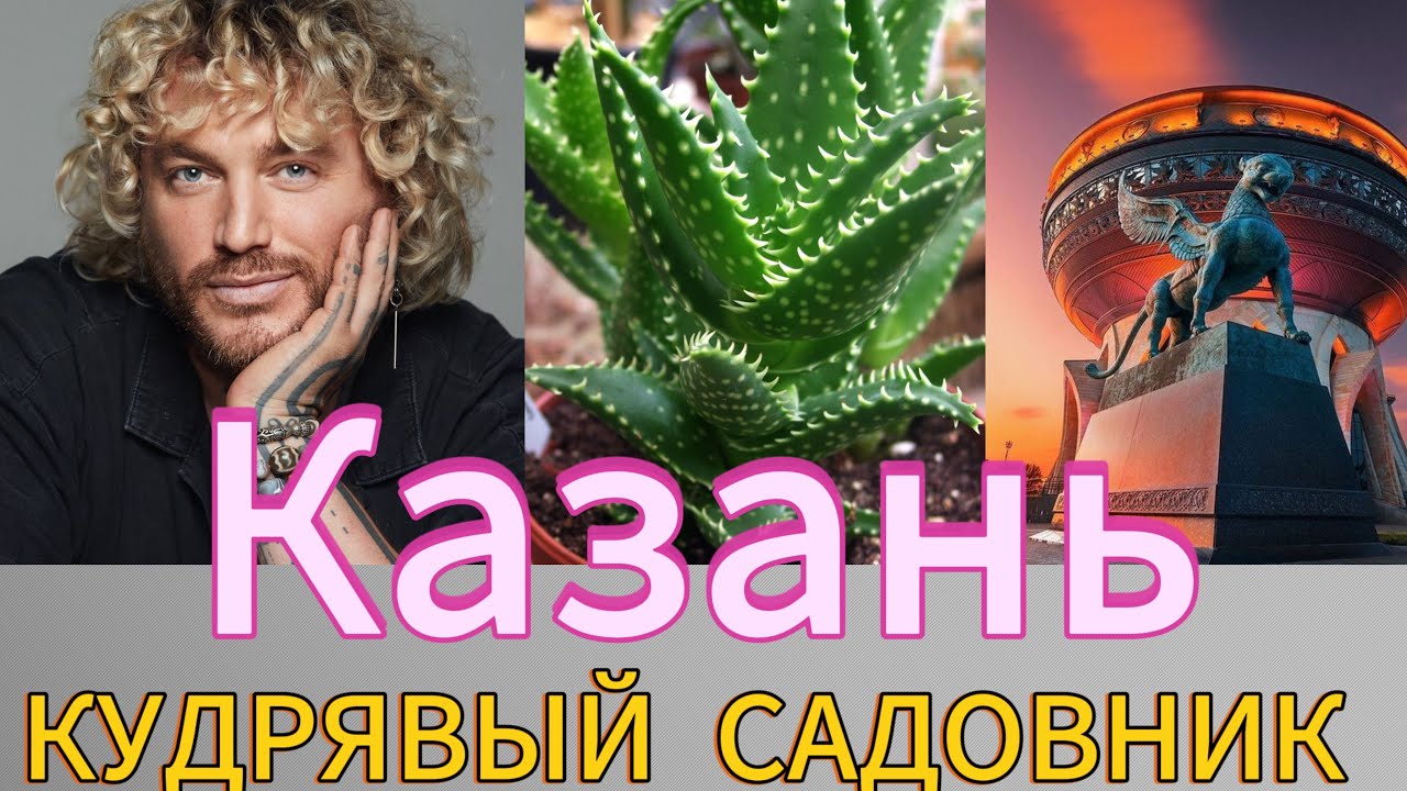 Кудрявый садовник в Казани 2024 Весна Пройдемся по садовым