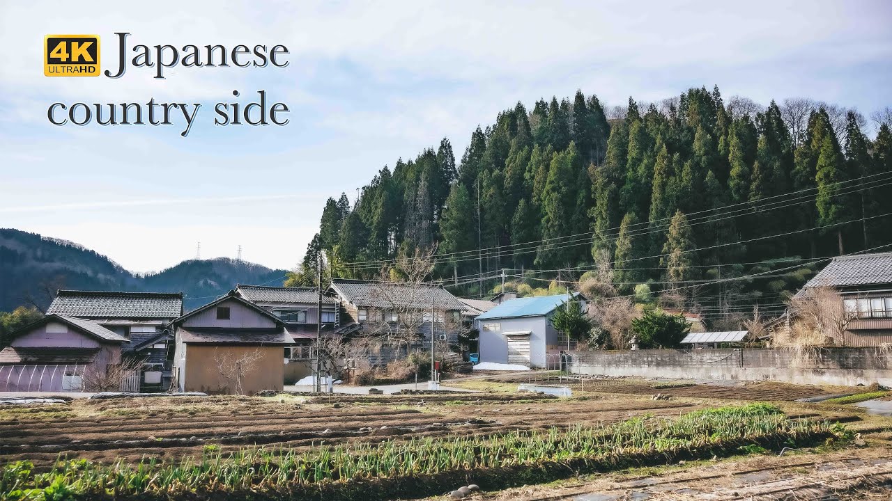 【4K】Morning walk in Japanese Countryside | Hakusan City, Ishikawa ...