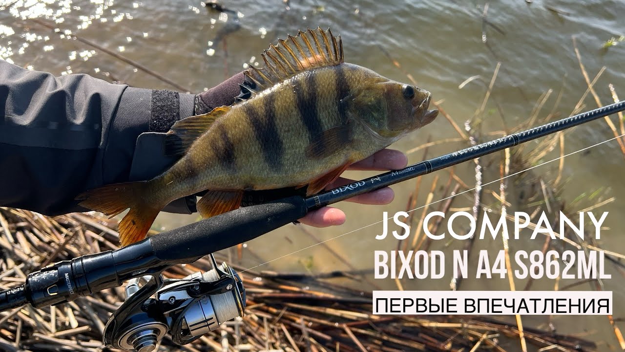 JS COMPANY BIXOD N A4 S862ML - береговой универсал! Первые впечатления ...