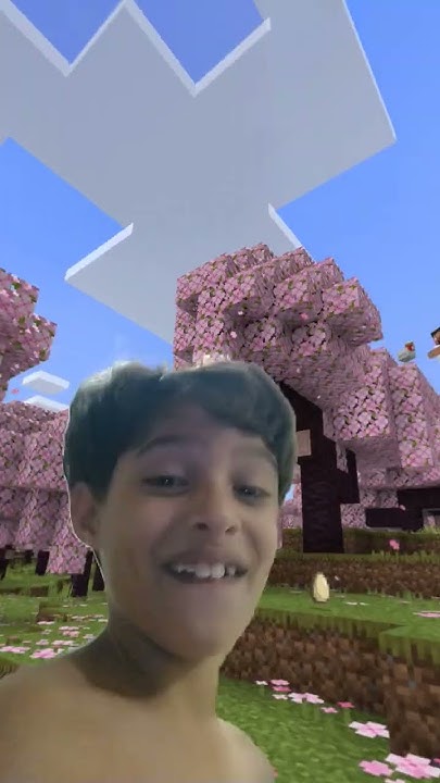 Entrei No Mundo No Minecraft Youtube
