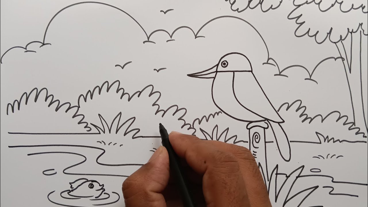 bird drawing/bird scenery drawing/how to draw easy bird scenery drawing ...
