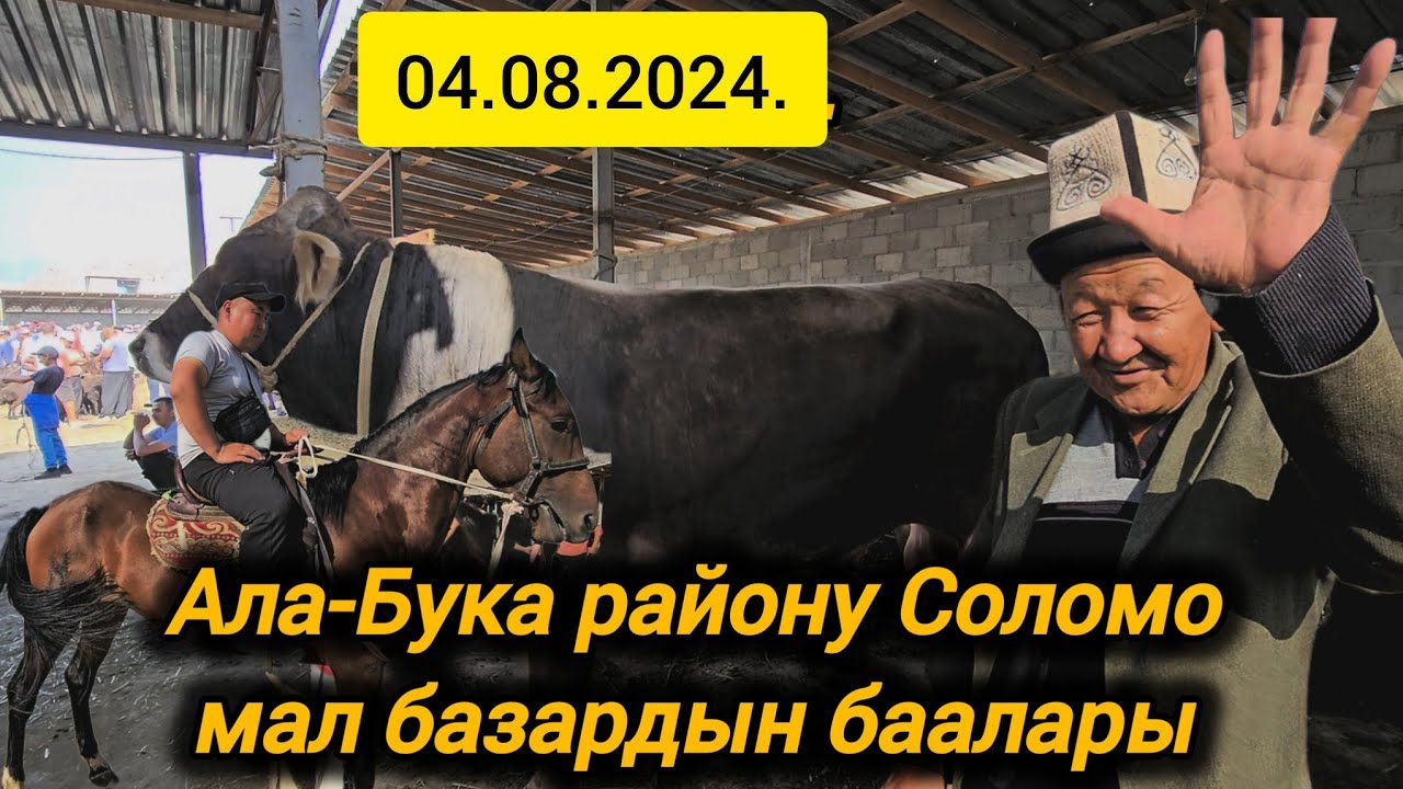 Ала-Бука району Соломо мал базардын баалары 04.08.24. - YouTube
